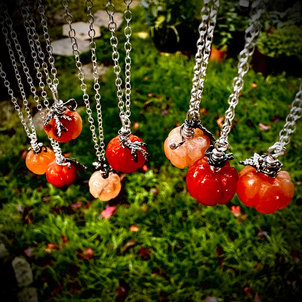 Mini gem kabocha- pumpkin – Kasasagi