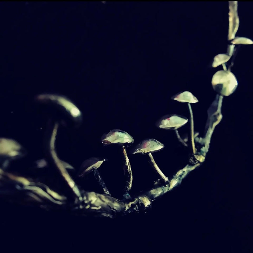 Dokukinoko – Kasasagi