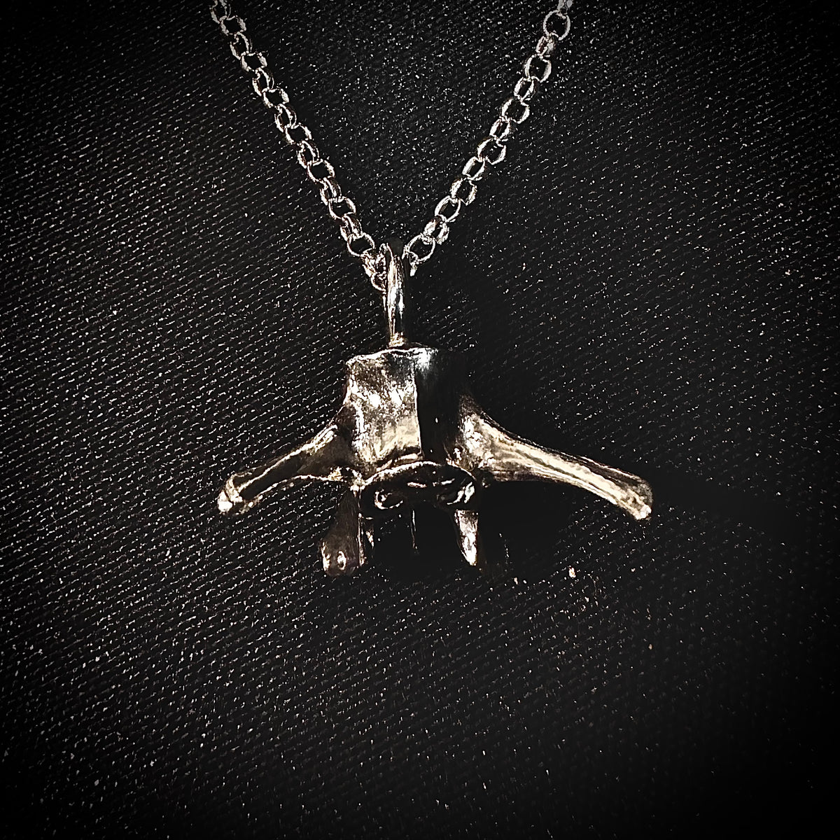 Swan Vertebrae necklace – Kasasagi